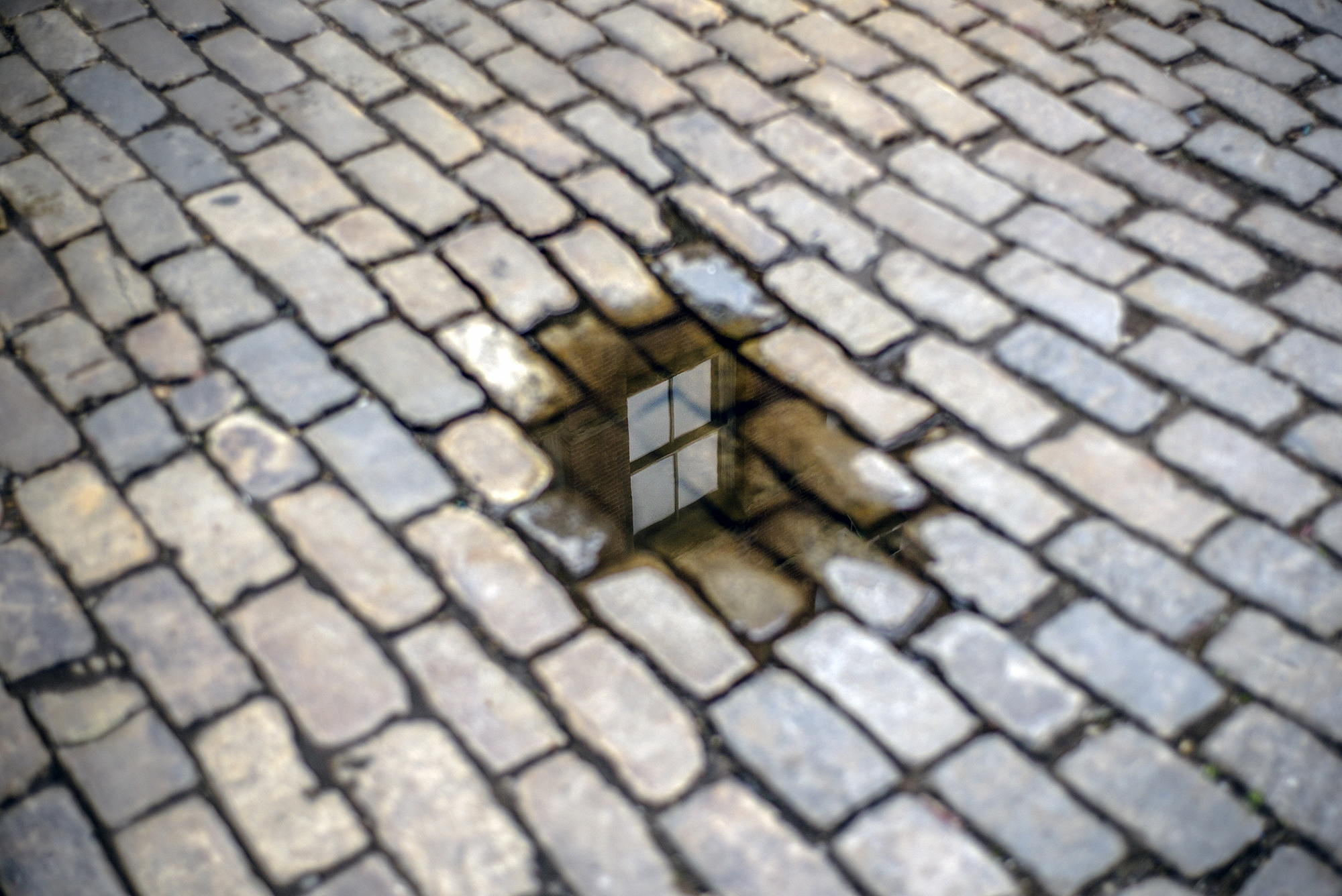 Interview with Eric Kogan - UP Photographers