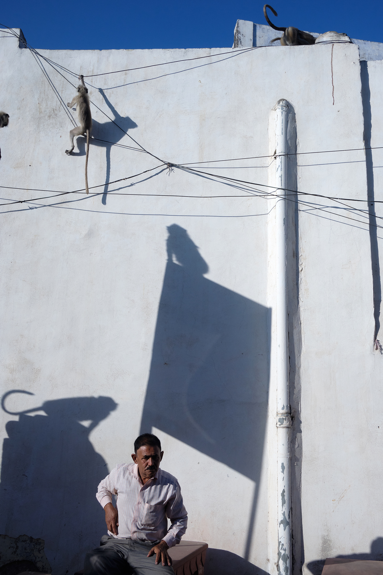 Interview with Manu Thomas - UP Photographers