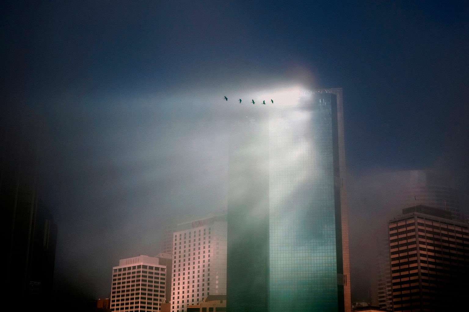 Interview with Sam Ferris - UP Photographers