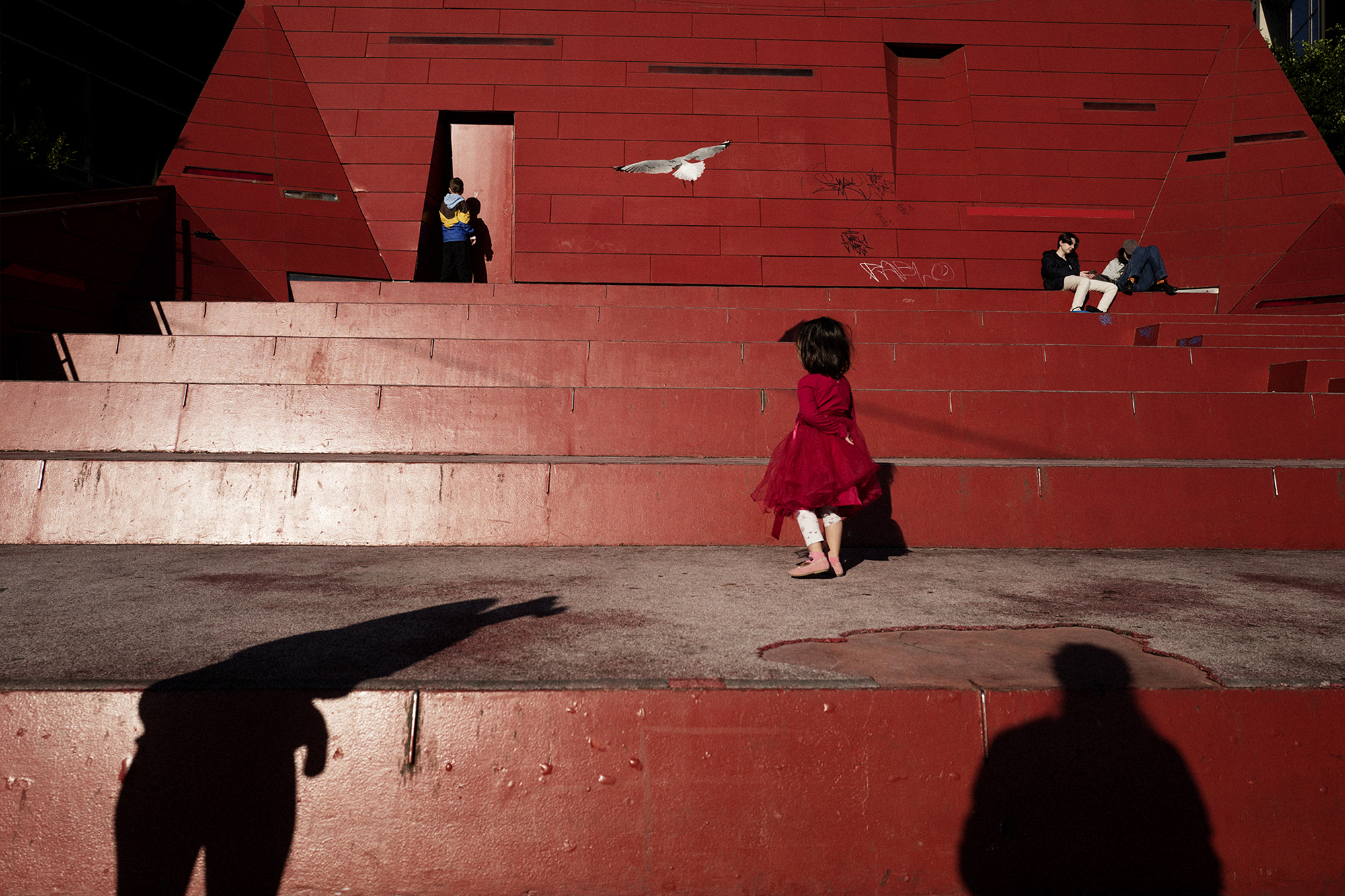 Interview with Sally Coggle - UP Photographers